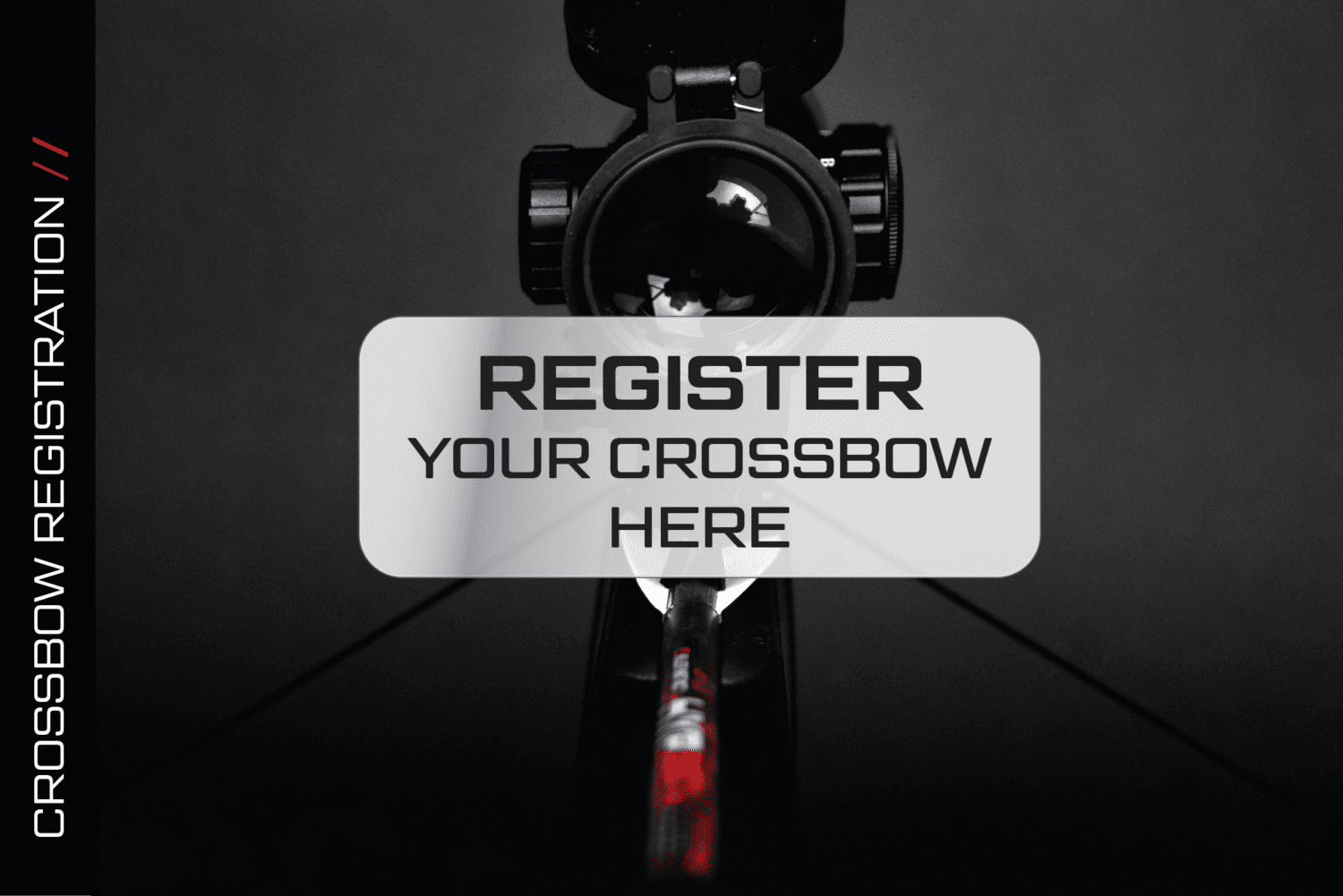 Home: Accurate Affordable Dependable Crossbows | Killer Instinct Crossbows