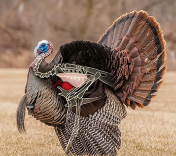 Crossbow Setup for a Successful Turkey Hunt | Killer Instinct Crossbows